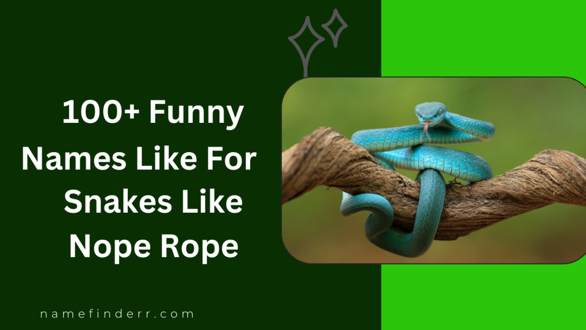 100+ Funny Names For Snakes Like Nope Rope - Free AI Funny Names Generator