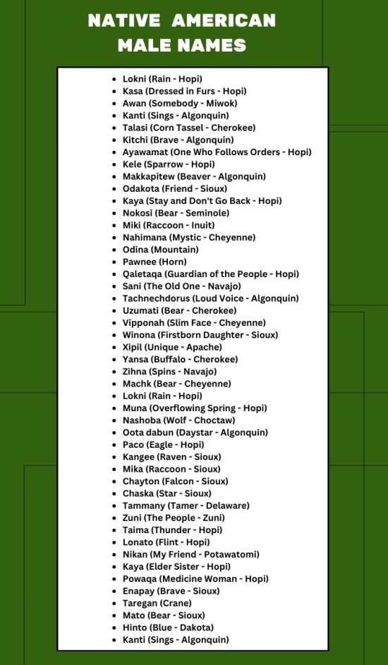 200+ Funny Native American Names - Free AI Funny Names Generator