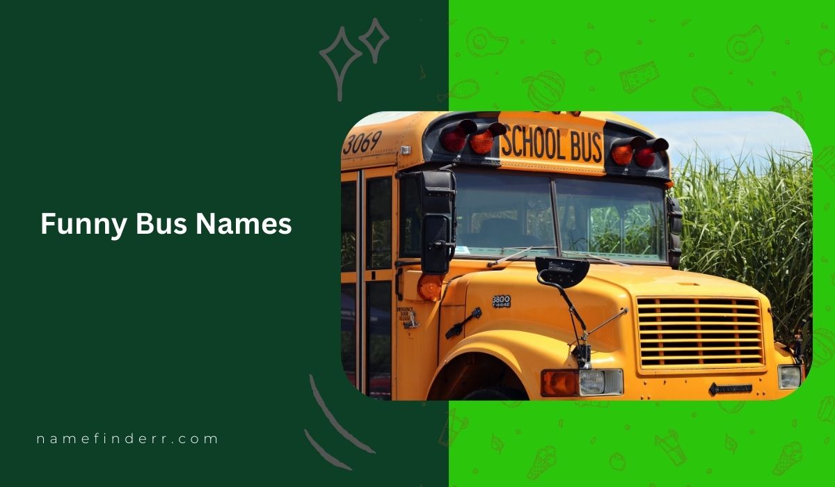 280+ Fun and Cool Bus Names - Free AI Funny Names Generator