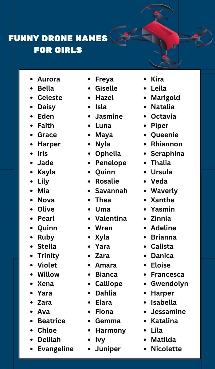 350+ Funny Drone Names - Free AI Funny Names Generator